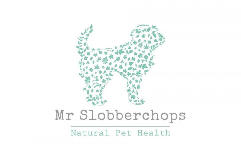 Mr Slobberchops now in stock! – Perfectly Pawsome
