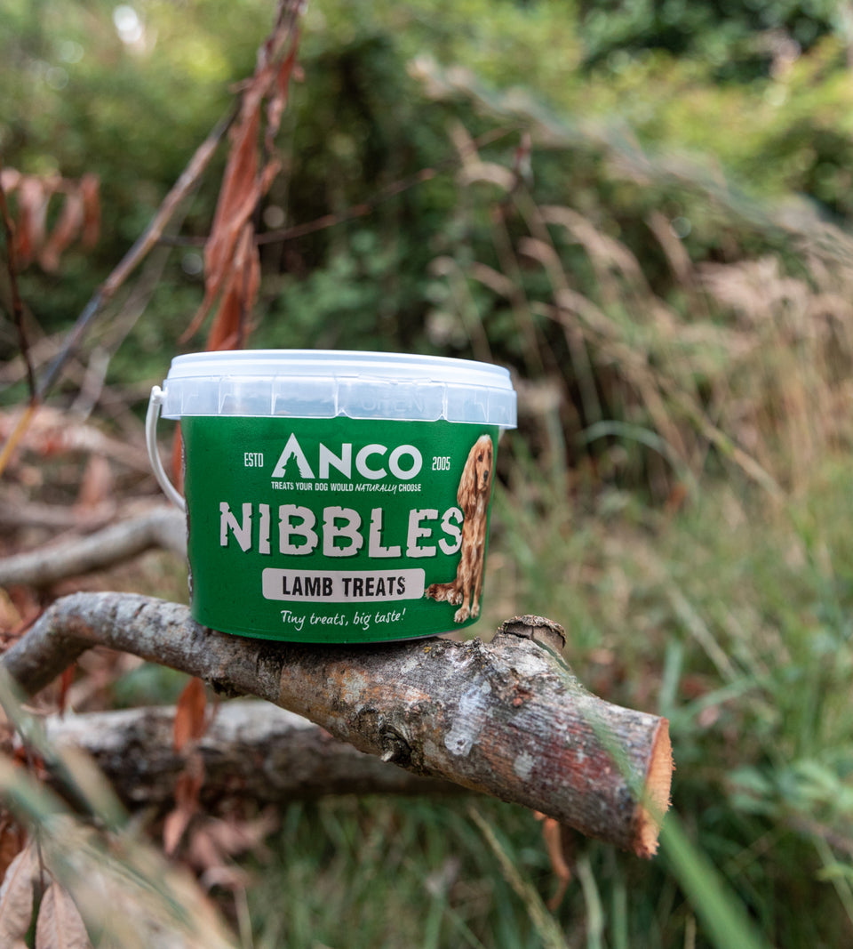 Anco Nibbles Lamb Treats 300g – Perfectly Pawsome