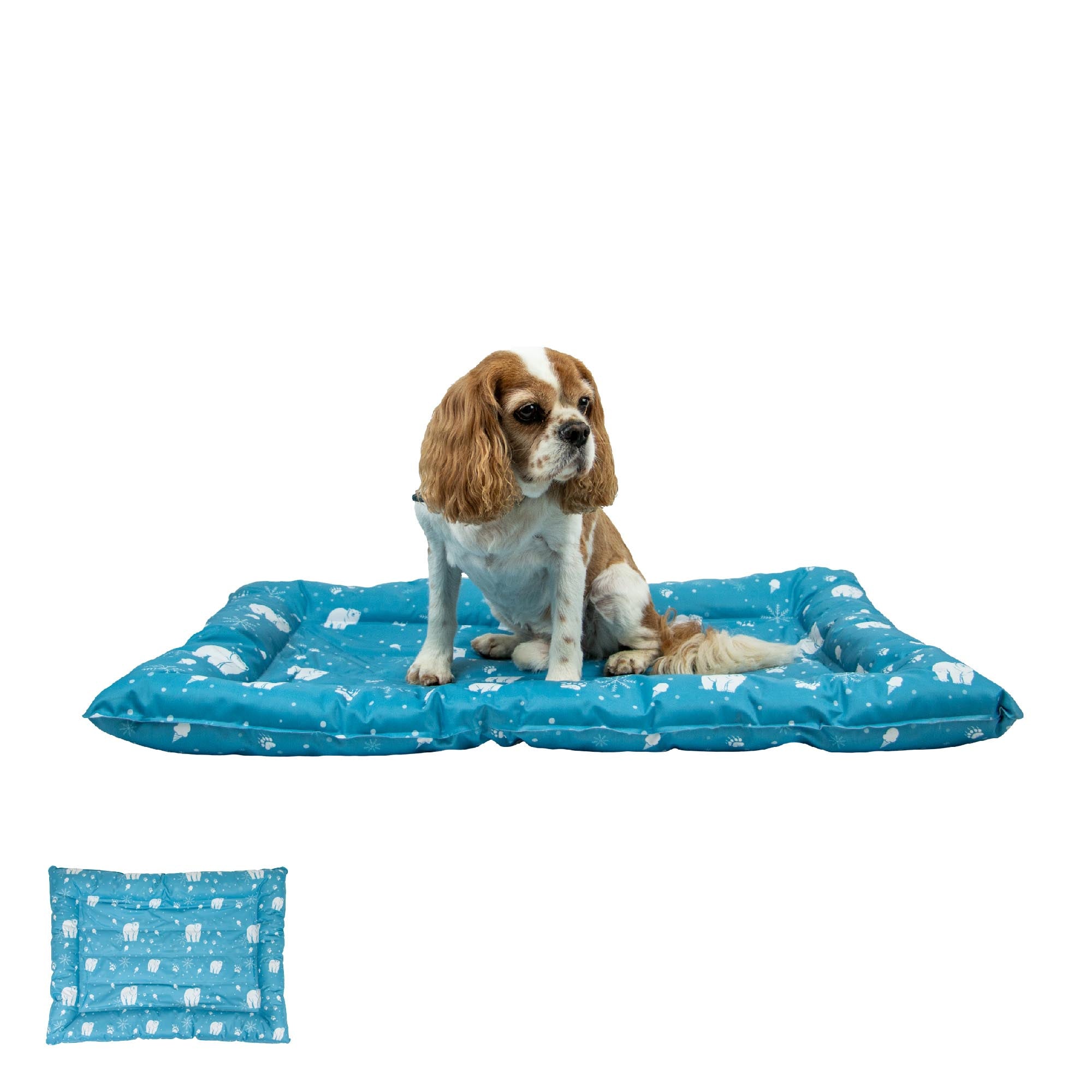 ICE PAWS COOLING BED – Perfectly Pawsome