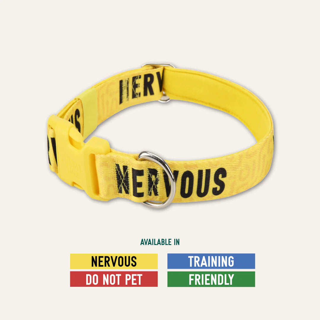 Awareness Collar – Perfectly Pawsome