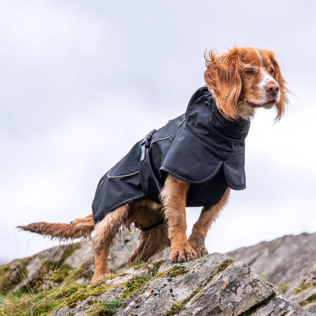 Rain Defender | Reflective Dog Coat | Black – Perfectly Pawsome