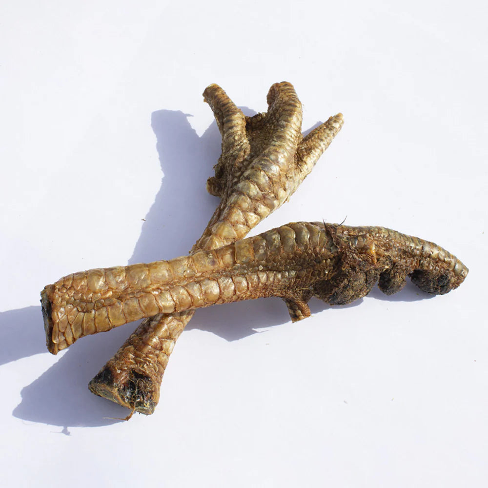 Giant Natural Turkey Feet – Perfectly Pawsome