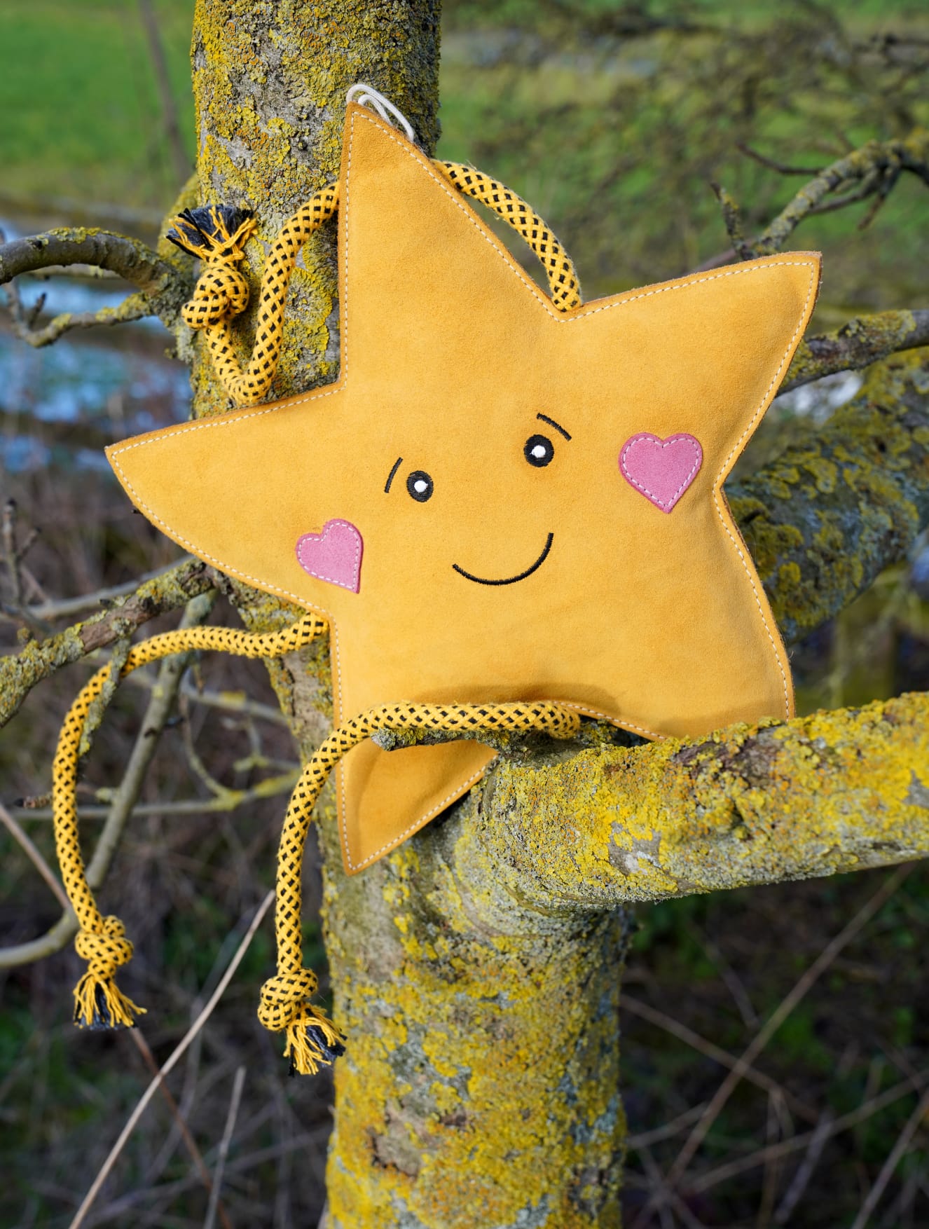Star XL Dog and Horse Eco Toy – Perfectly Pawsome